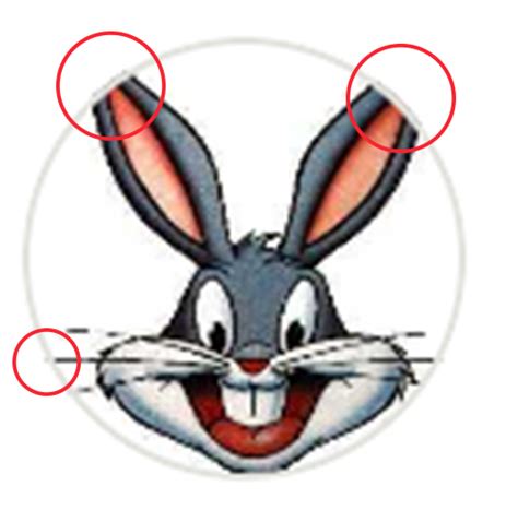 Uiimageview Ios Rounded Rectangle With Border Bleeds Color Stack