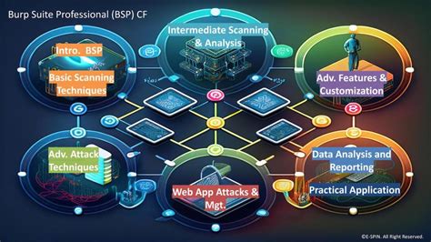 E Spin Burp Suite Professional Training Program E Spin Group