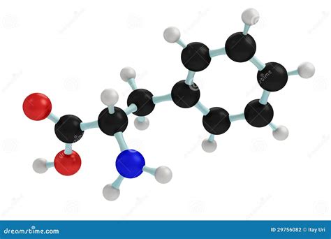 Model Of Phenylalanine Stock Illustration Illustration Of Chemical