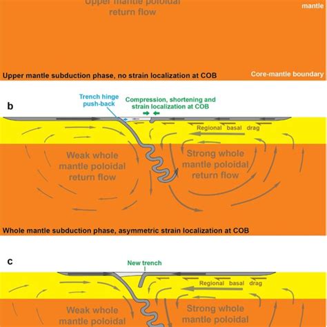 Schematic Drawings Showing The Conceptual Model Of Subduction Invasion