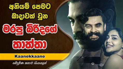 අනියම් පෙමට බාදාවක් වුන තාත්තා Movie Explained In Sinhala Ud Cinema Movie Review Sinhala