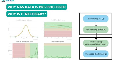 Bioinformatics Biocode