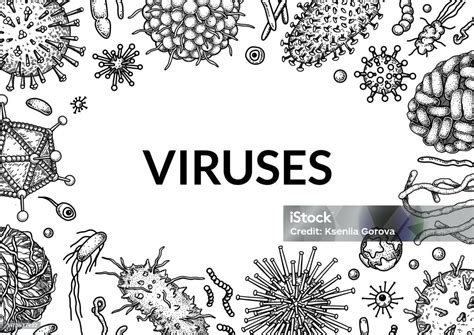 스케치 스타일의 바이러스 가로 배경 손으로 그린 박테리아 세균 미생물 미생물학 과학 설계 스케치 스타일의 벡터 그림 A4 용지에 대한 스톡 벡터 아트 및 기타 이미지
