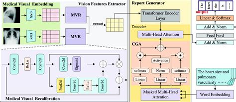 Visual Recalibration And Gating Enhancement Network For Radiology