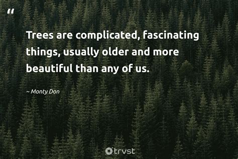 Tree Quotes To Encourage Growth And Preservation