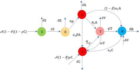 Flowchart For The Hbv Model Diseases And Treatment Colour Figure Can Download Scientific