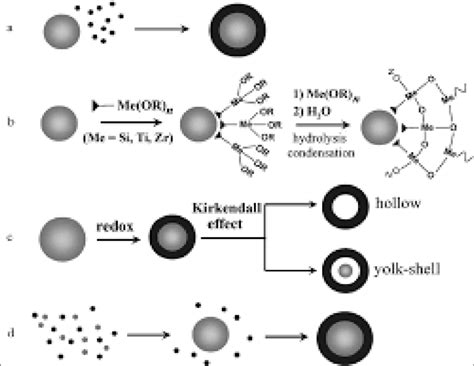 Fabrication Stages Of Core Shell Nanocomposites [63] Download Scientific Diagram