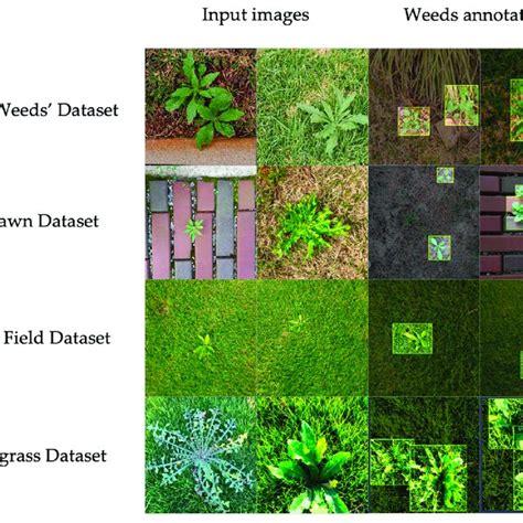 Performance And Inference Time Of Best Yolo Model Scales For The Four Download Scientific