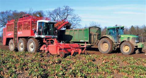 Fodder Beet A Technical But Top Yielding Livestock Fodder Crop
