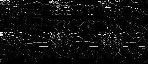 Level Wavelet Decomposition Download Scientific Diagram