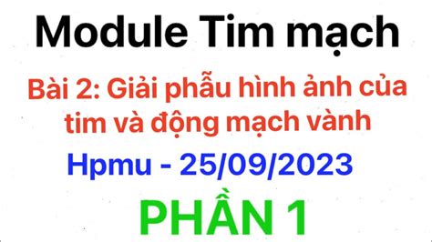Module Tim mạch Bài 4 Giải phẫu hình ảnh tim và động mạch vành Phần 1 YouTube