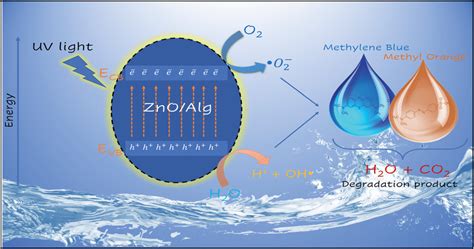 Schematic Representation Of Photocatalytic Degradation Of Mb And Mo