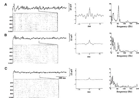 Effect Of Synaptic Strengths On Synchronous And Oscillatory Behavior