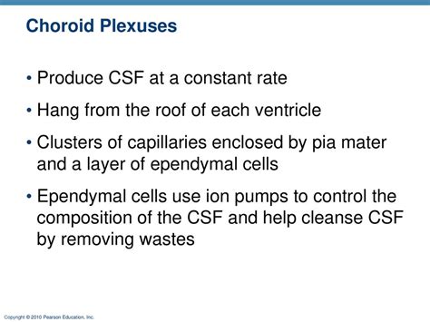 The Central Nervous System Part C Ppt Download