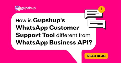whatsapp customer support tool vs business api gupshup