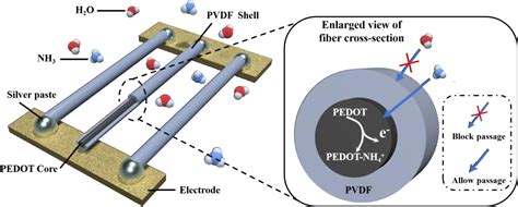 Figure 1 From Core Shell Pedot Pvdf Nanofiber Based Ammonia Gas Sensor With Robust Humidity