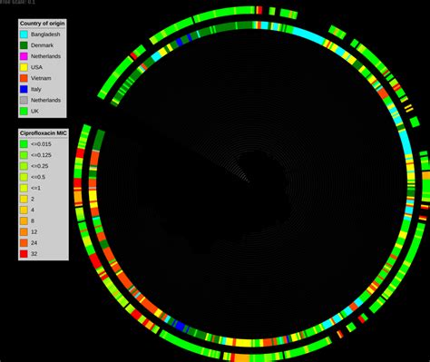 Maximum Likelihood Tree Based On The Alignment Of Concatenated Core