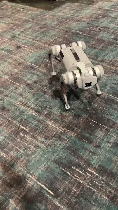 Alina Rivilis On Linkedin Ai4 Ai Robotics Innovation