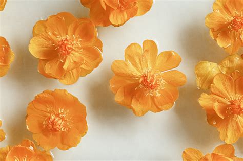 옐로우 오렌지 컬러 꽃 트롤리우스 또는 글로브플라워 추상적인 꽃 질감 배경 흑백 미적 식물 정물 자연 피는 봄 작은 꽃 탑 뷰