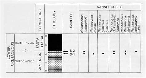 Figure 6 From New Data On The Lower Cretaceous Microfossil And