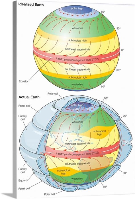 Global Circulation Patterns Diagram Great Big Canvas