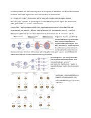Understanding Sex Determination And Sex Linked Traits In Course Hero