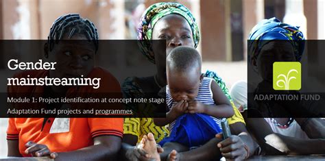Gender Mainstreaming E Course Adaptation Fund