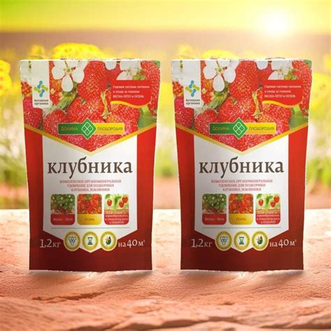 Комплексное органоминеральное удобрение КЛУБНИКА для подкормки клубники и земляники 1 2кг 2шт