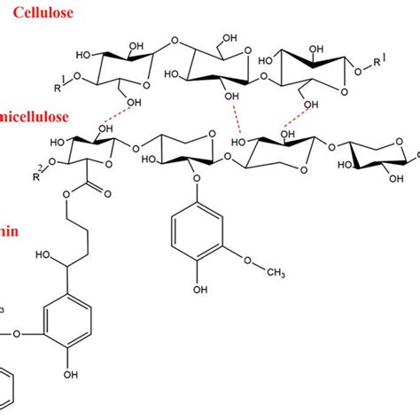 Hemicellulose Cellulose And Hemicellulose Lignin Linkages Download