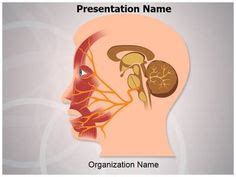 Brain PowerPoint Templates Human Brain PowerPoint Template Ideas Powerpoint Templates