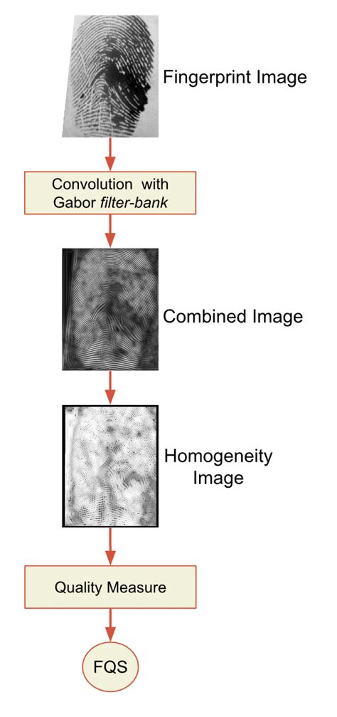 An Overview Of The Proposed Method Download Scientific Diagram