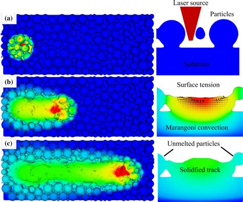 the dynamic evolution of the molten pool during slm process of k418 at