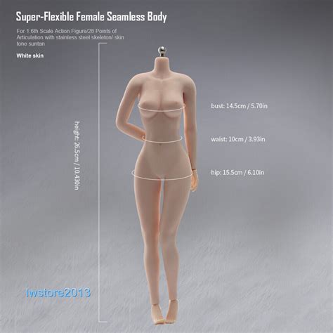 1 6 Flexible Large Bust Breast 12 Inch Female Seamless Action Figure Body Toys Ebay
