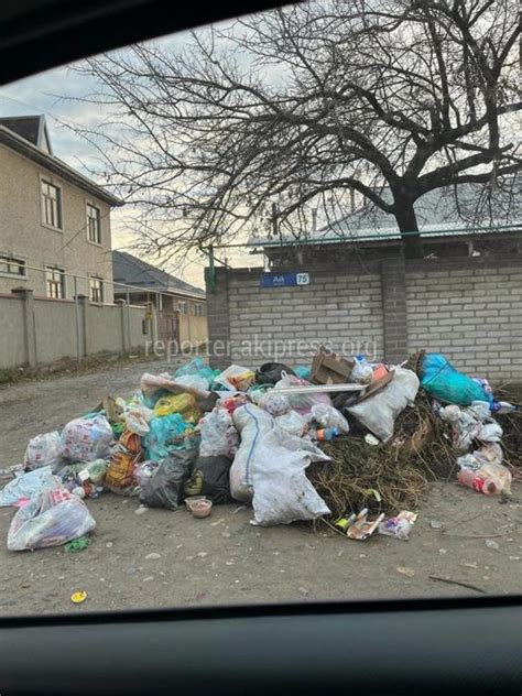 «Как в индийских трущобах Житель Ак Орго жалуется на мусор Фото