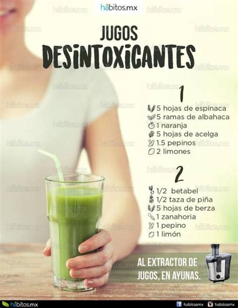 Desintoxica Tu Organismo Con Estos Jugos De Verduras Jugos Para Desintoxicar Jugos De