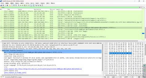 哈工大计算机网络实验三——利用 Wireshark 进行协议分析 Csdn博客