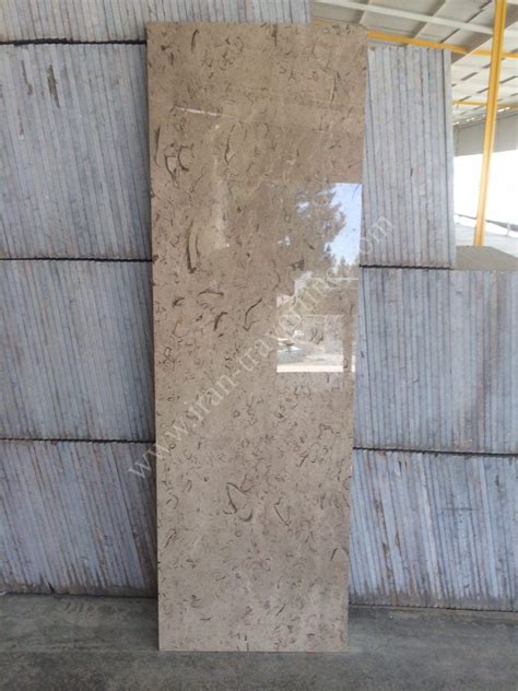 Fossil Marble Iran Travertine