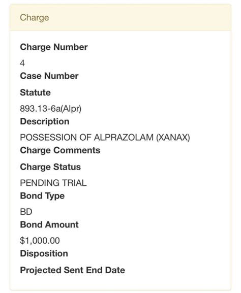 Nle Choppa Arrested Faces Burglary Gun And Drug Possession Charges