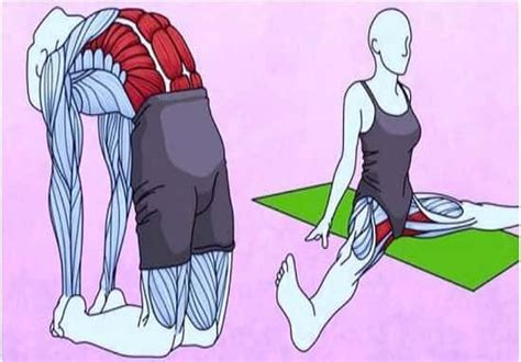 6 упражнений на растяжку чтобы избавиться от боли в спине и бедрах