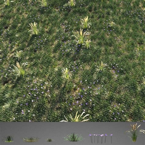 Grass Maker 1 3d Model For Corona