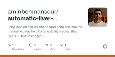 Automatic Liver Segmentation Testing Ipynb At Main Aminbenmansour