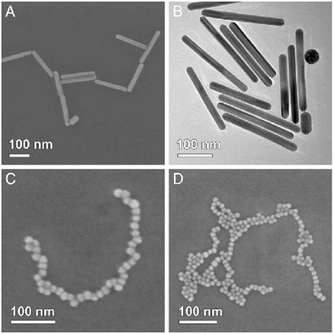 Color Online Schematic Drawing Of Two Gold Colloidal Particles Download Scientific Diagram