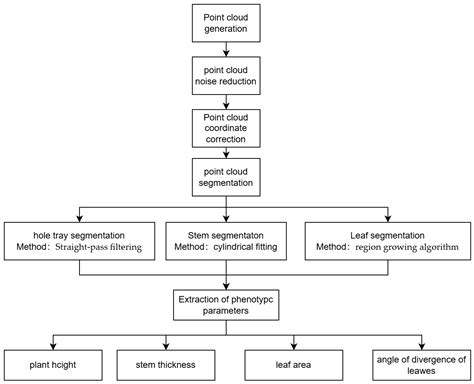 Stem And Leaf Segmentation And Phenotypic Parameter Extraction Of