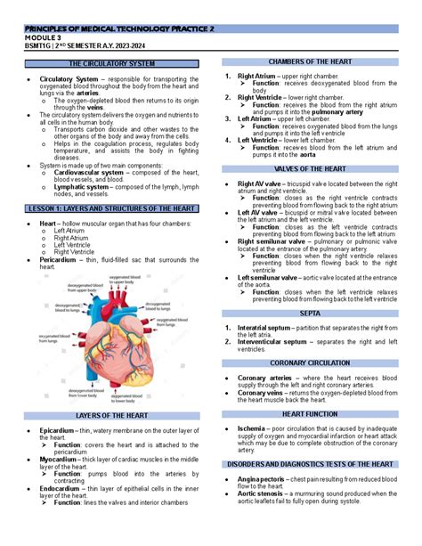 Pmtp 2 Module 3 Lecture Notes Module 3 Bsmt1g 2nd Semester A 2023 2024 The Circulatory