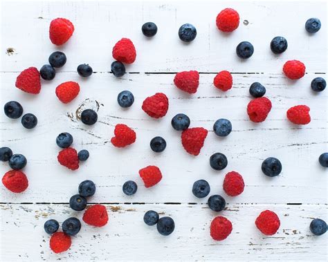 배경 화면 블루 베리 라즈베리 나무 배경 1920x1200 그림 이미지