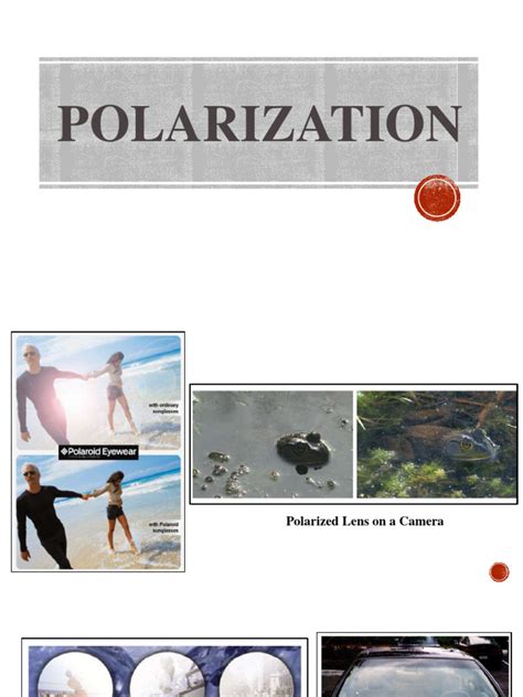 Polarization Pdf Waves Refractive Index