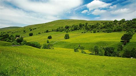 배경 화면 잔디 들 하늘 여름 1920x1080 1026185 배경 화면 Wallhere