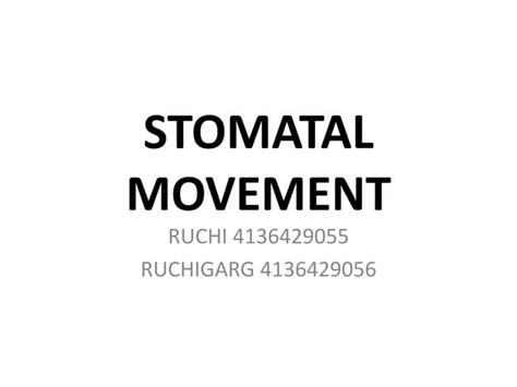 Types Of Stomata Pptx