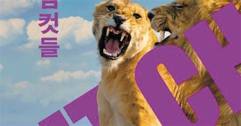 바람둥이 암사자 수컷 쟁취하는 영양… ‘순종적인 암컷은 편견