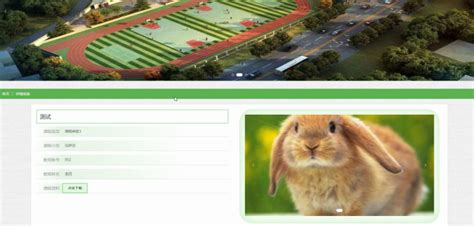 计算机毕业设计springbootvue的专业课在线自评自测系统的设计与实现 专业课在线自评自测系统的设计与实现：基于spring Boot与vue的高效解决方案 Csdn博客